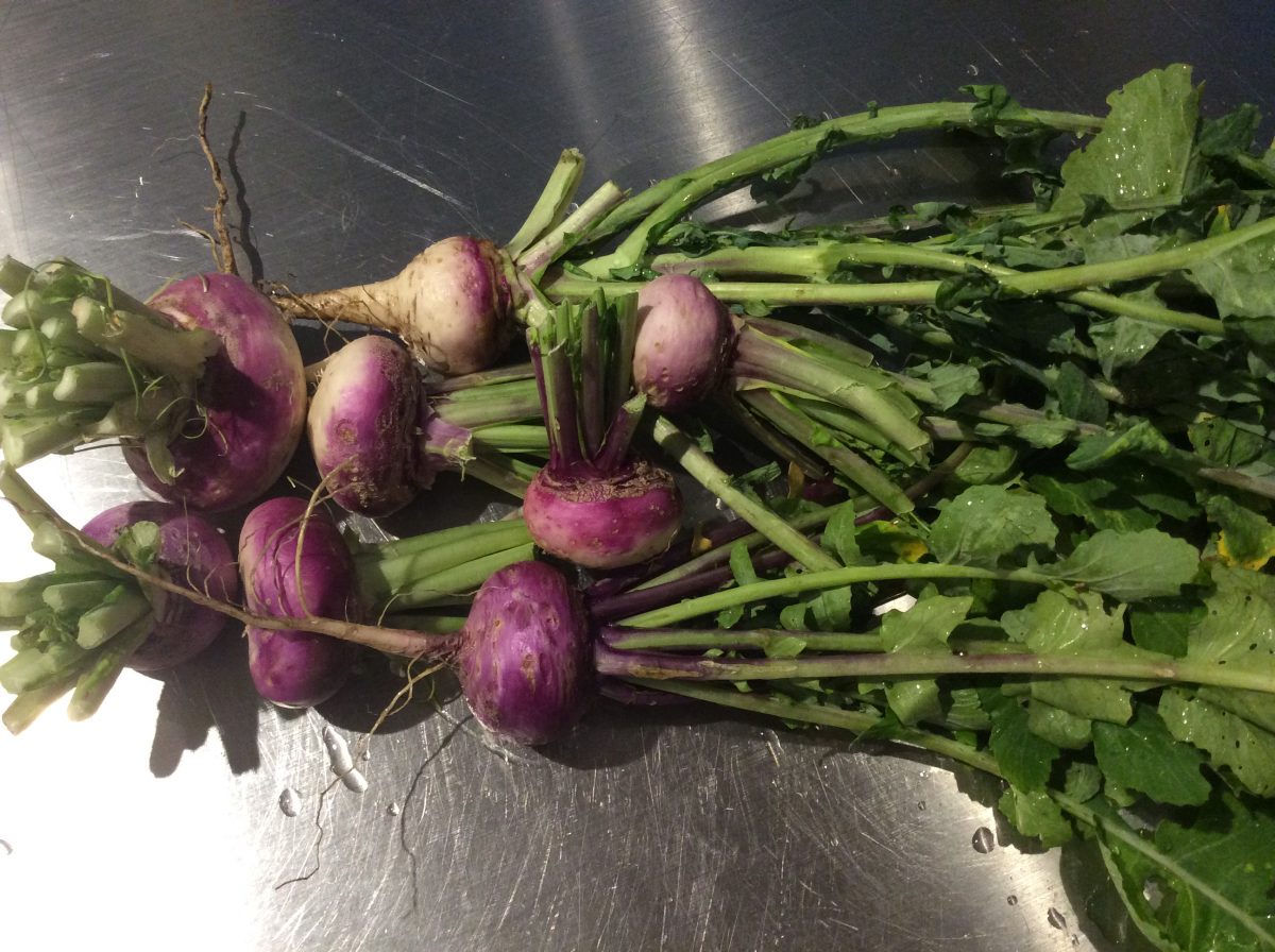 Cime di rapa - Cooking with Class